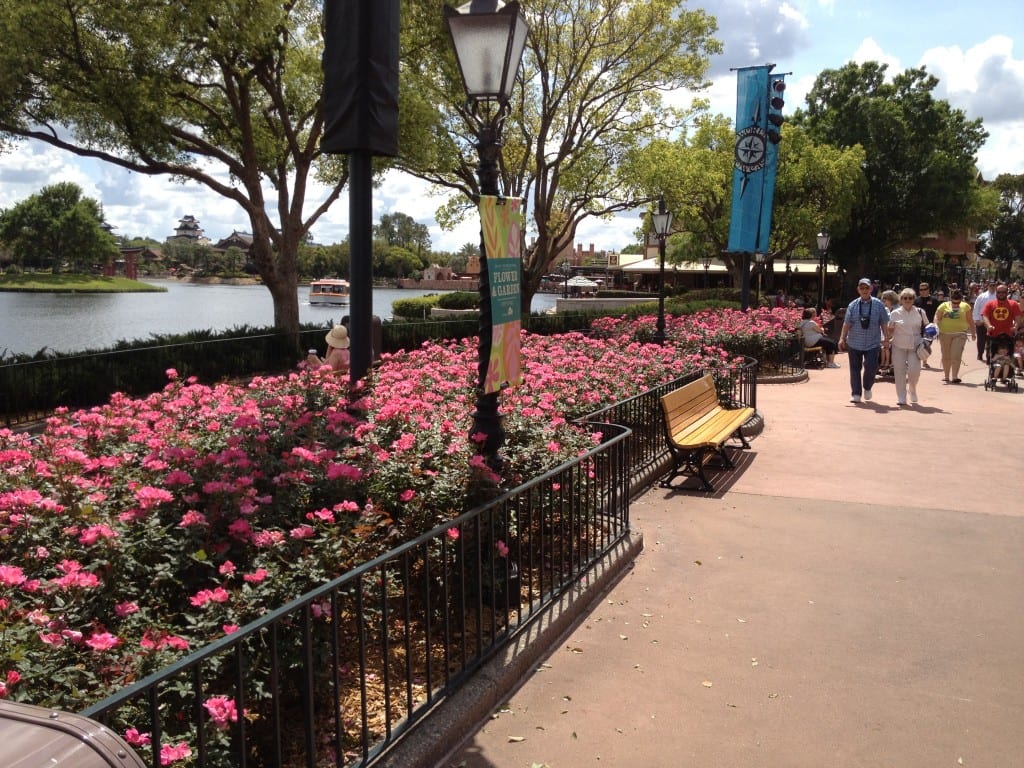 Coming To A Mall Near You – Roses For Commercial Use | Paul Zimmerman ...